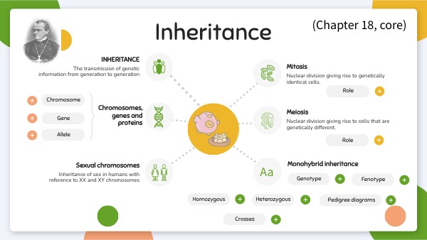 Inheritance - IGCSE