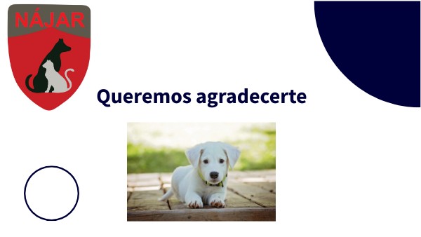 Comunicado | Genially