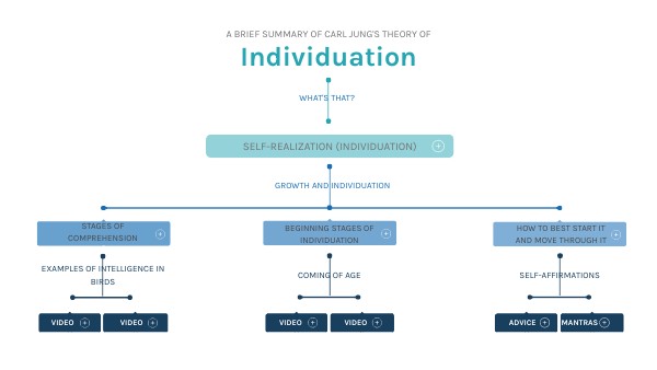 Individuation and adolescents
