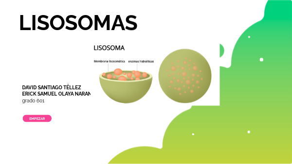 LISOSOMAS