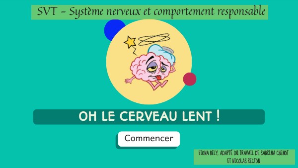 Systeme nerveux et comportement responsable | Genially