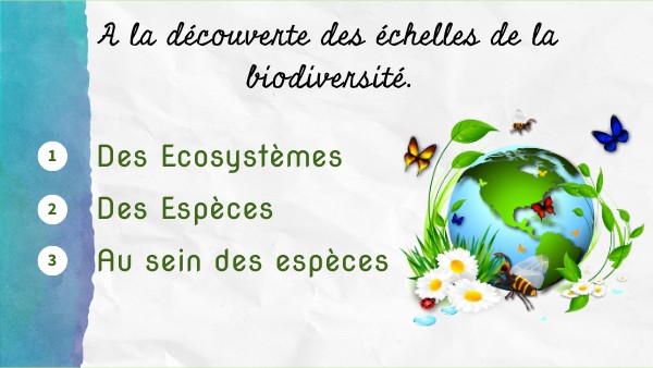 Les echelles de la biodiversité 2nd | Genially