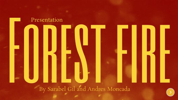 Forest fire presentation