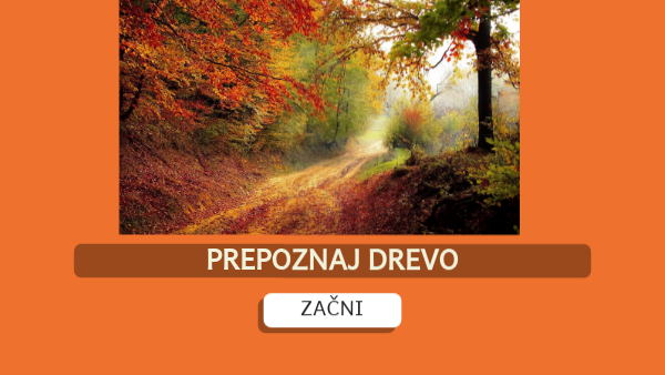 PREPOZNAJ DREVO | Genially
