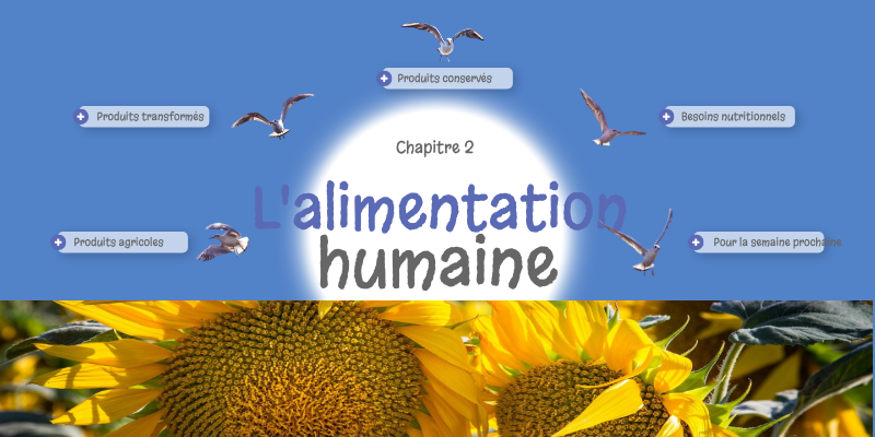 SVT-6 ème L'alimentation humaine | Genially