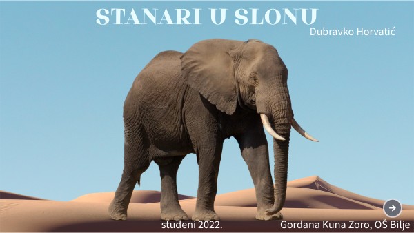 Stanari u slonu | Genially