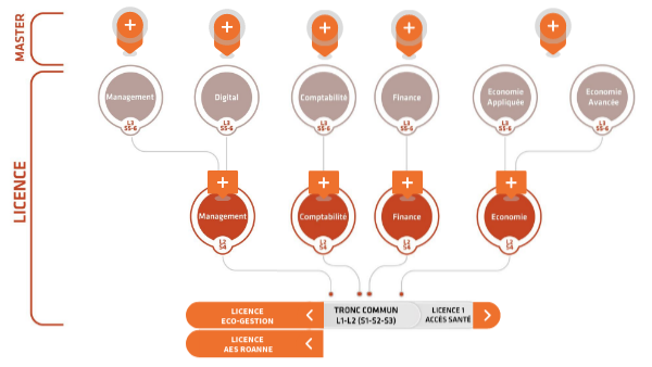 OFFRE DE FORMATION IAE | Genially