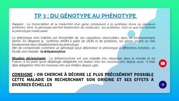 TP3 : Du génotype au phénotype | Genially