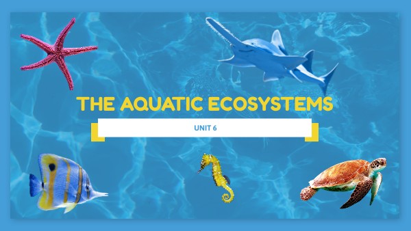 The acuatic ecosystems