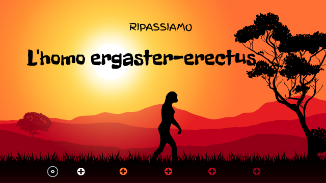 Homo ergaster-erectus | Genially