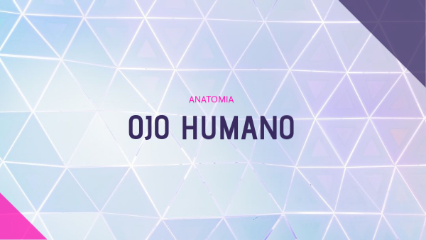 ANATOMIA OJO HUMANO | Genially