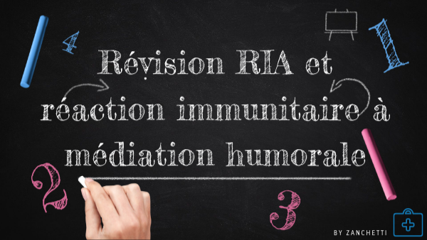 Révision RIA et début de la réaction immunitaire à médiation humorale