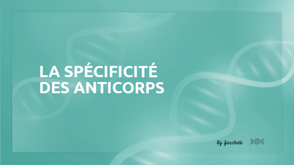 TP : La spécificité des anticorps | Genially