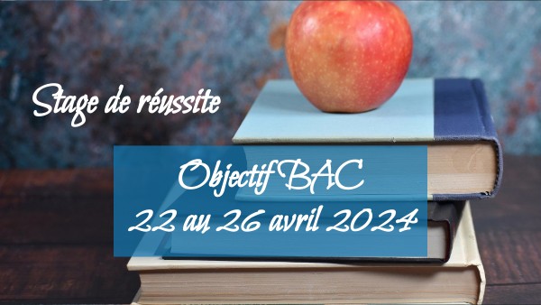 Stage de réussite 2024 | Genially