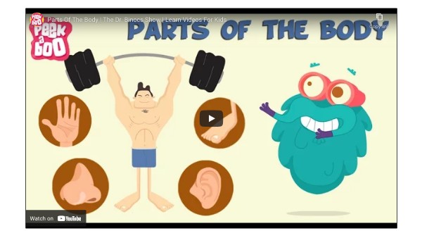 Body Parts | Genially