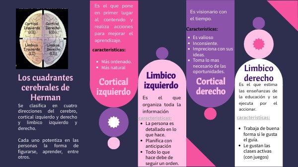 Modelo de los cuadrantes cerebrales de Herrman | Genially
