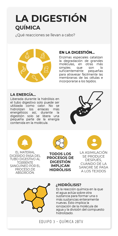 Equipo 3 - Química 2BTV