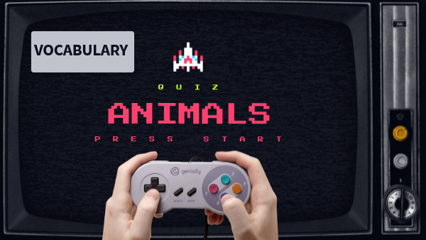 Animals 2º | Genially