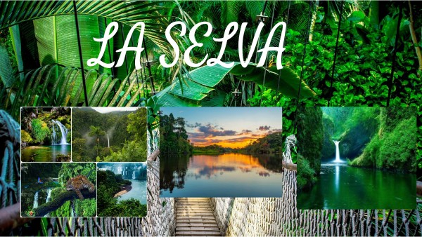 SELVA