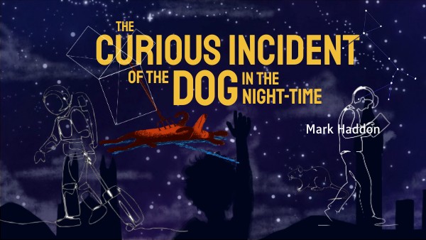 The curious incident of the dog in the night-time