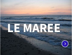le maree | Genially