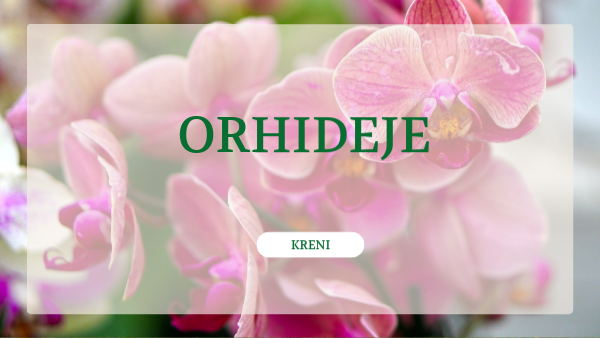 Orhideje