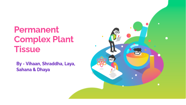 Complex plant tissue | Genially