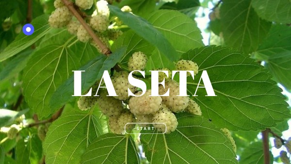 LA SETA 2F | Genially