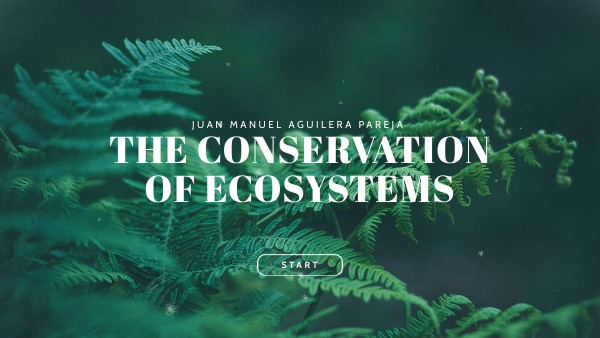 The conservation of ecosystems