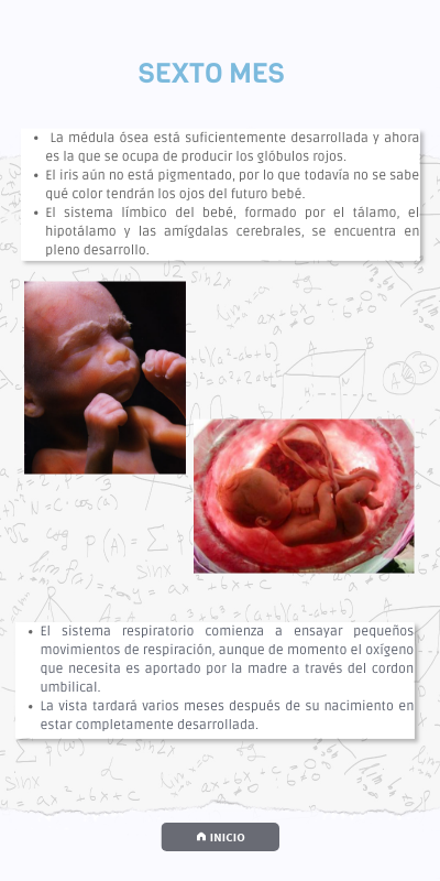 SEXTO MES | Genially