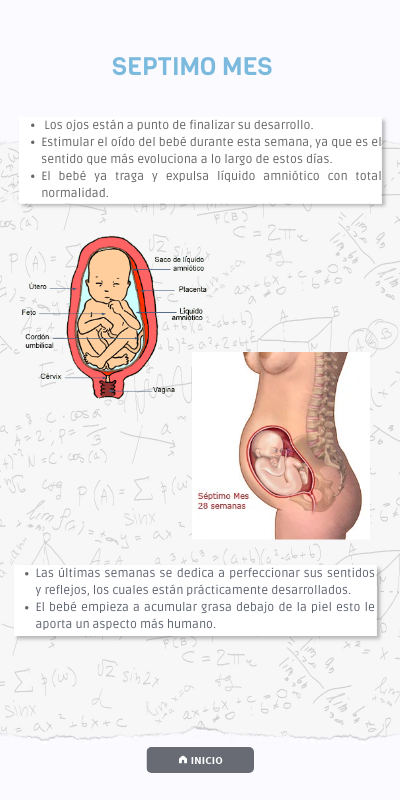 SEPTIMO MES | Genially