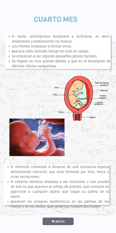 CUARTO MES | Genially