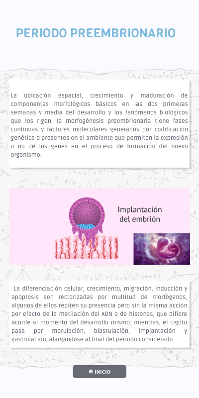 PRIMER MES | Genially