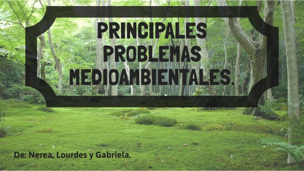 Principales problemas medioambientales | Genially