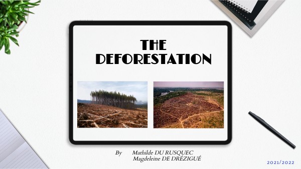 The deforestation