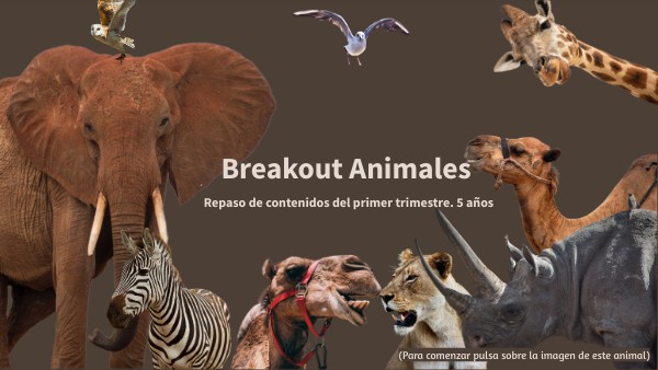 ESCAPE ROOM "animales" | Genially