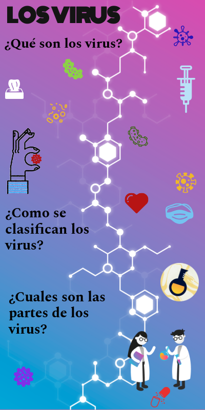 Virus Marcos Joven | Genially