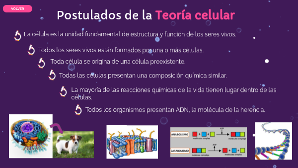 Postulados de la teoría celular | Genially