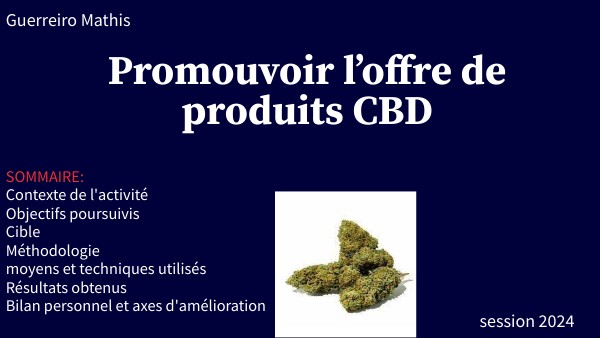 FICHES BTS E42 Obame | Genially