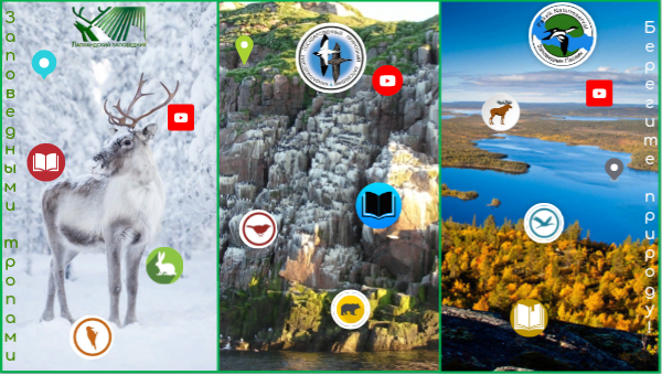 Interactive image