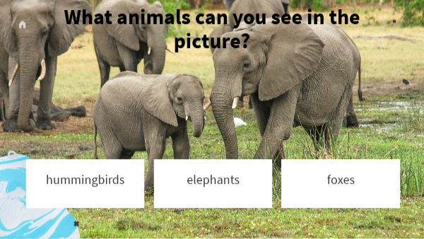 hello explorer 3 unit 2 | Genially