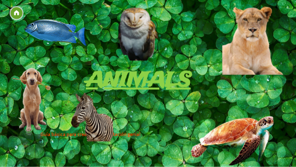 ANIMALs | Genially