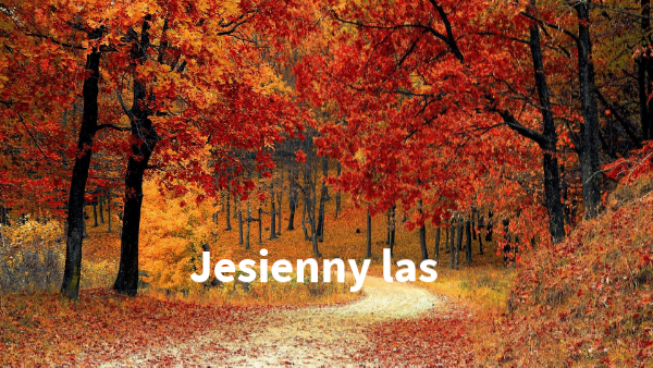 Jesienny las | Genially