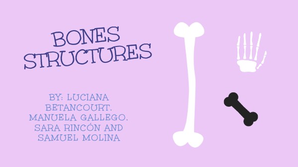 Bone Structures Presentation | Genially