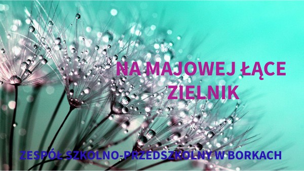 BASIC REPORT | Genially