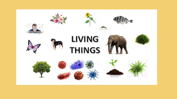 UNIT LIVING THINGS | Genially