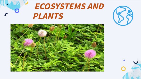 UNIT 3 ECOSYSTEMS AND PLANTS 4º EP | Genially