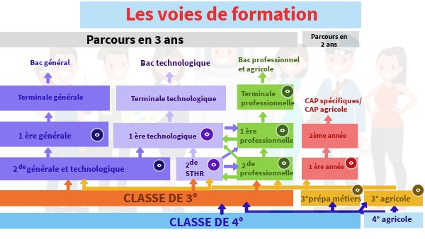 les voies de formation après le collège | Genially