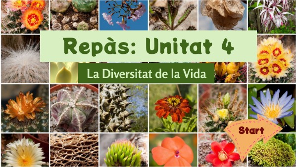 Repàs: Unitat 4 | Genially