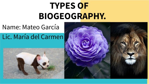 Types of Biogeography